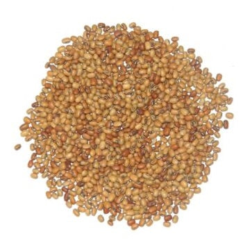 POONA BEANS 1kg – Rumi Supermarket